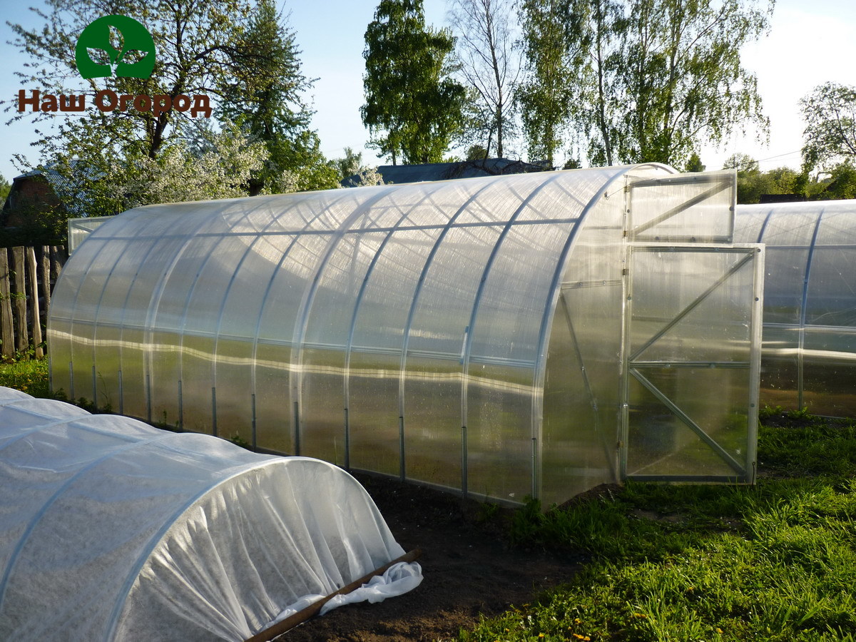 Kako odabrati staklenik: TOP savjeti, koji staklenik odabrati? + video