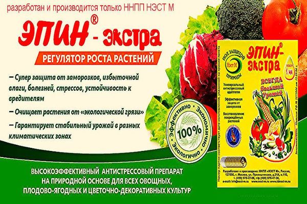 Epin - stymulator wzrostu; aplikacja, instrukcja