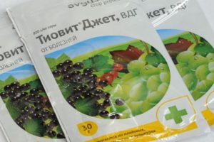 Tiovit jet - Vorbereitung, Anleitung, Anwendung