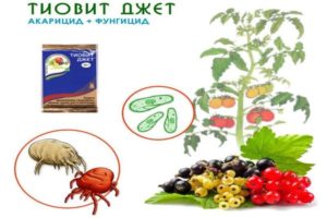 Tiovit Jet - istruzioni per l'uso per l'uva